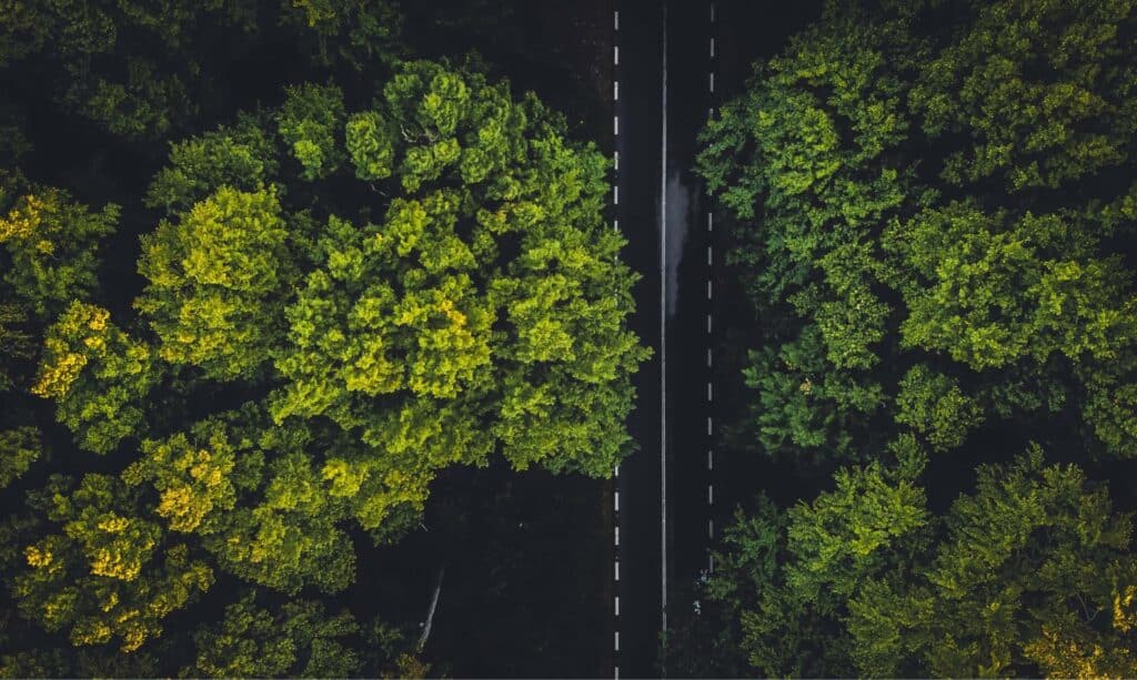 ECOsmart • Greenage Solutions