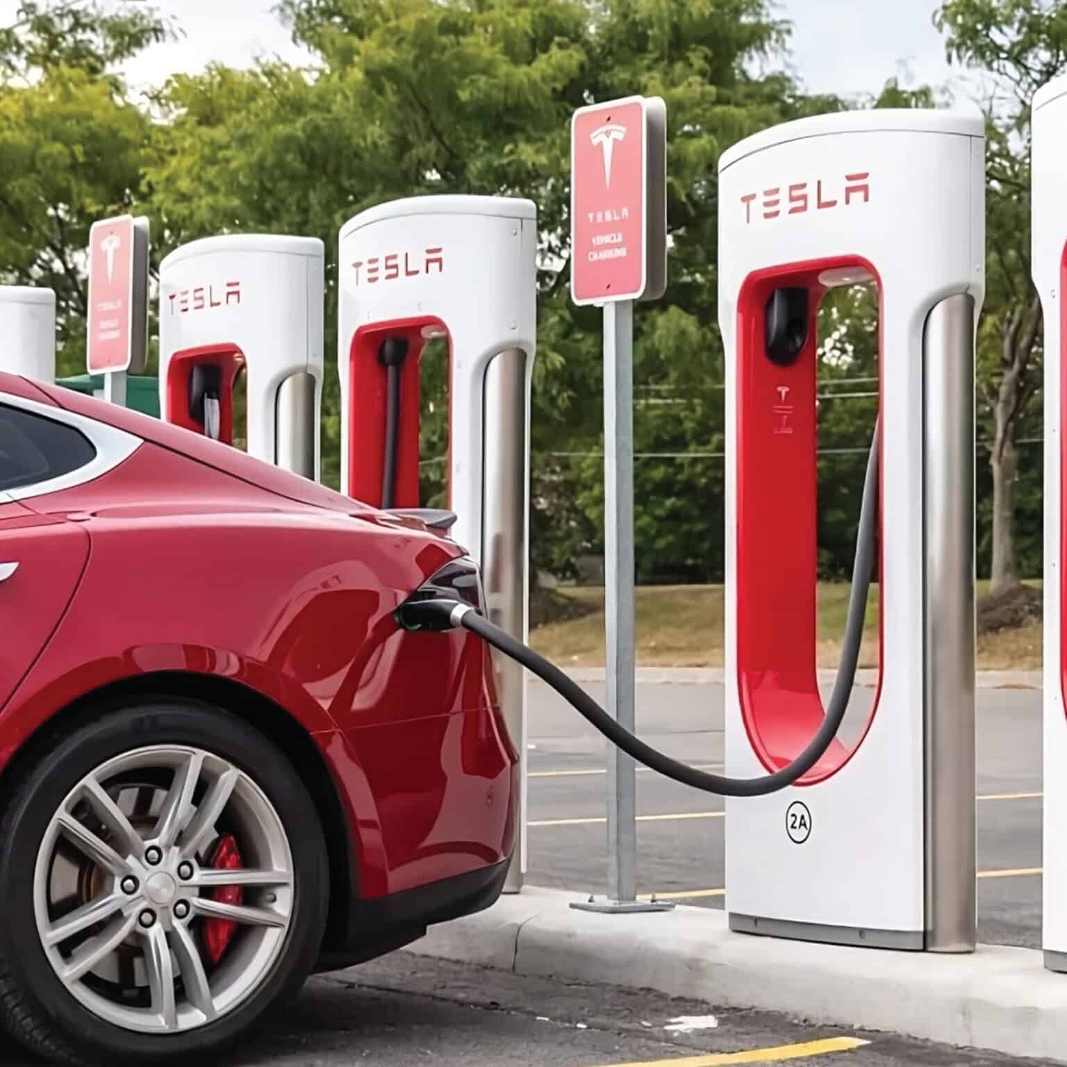 ECOsmart • Greenage Solutions