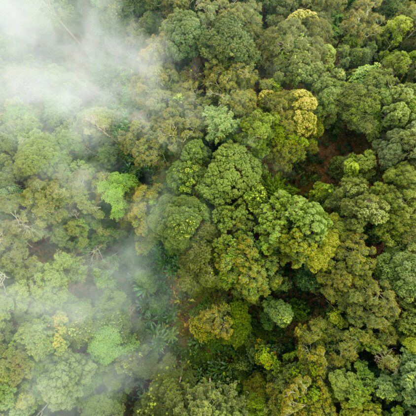 EVENTsmart • Greenage Solutions